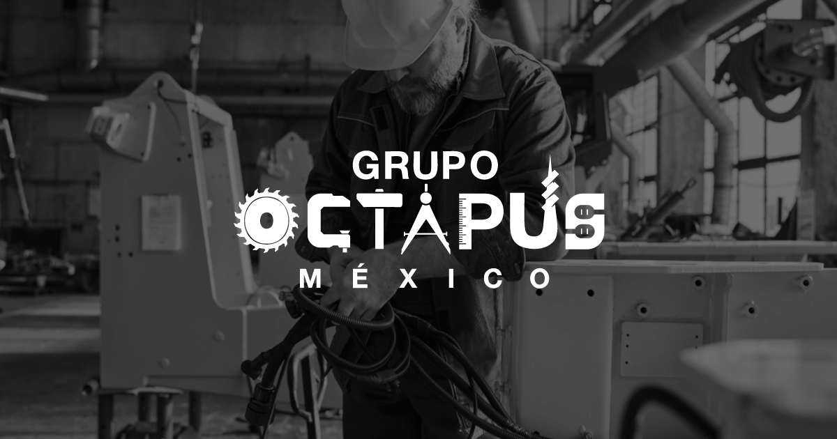 Grupo Octapus – Diversidad, calidad y entrega inmediata a tu alcance
